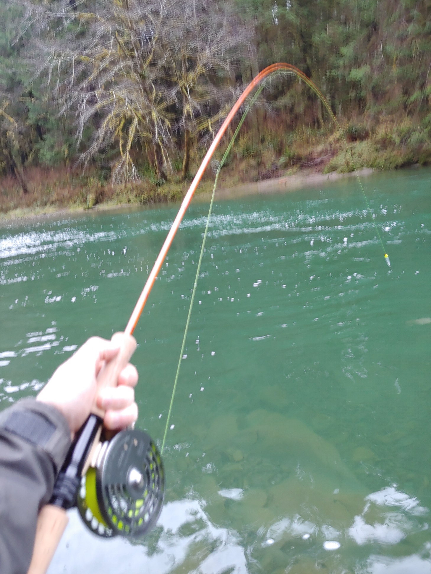 Going your own way | Fishing Report